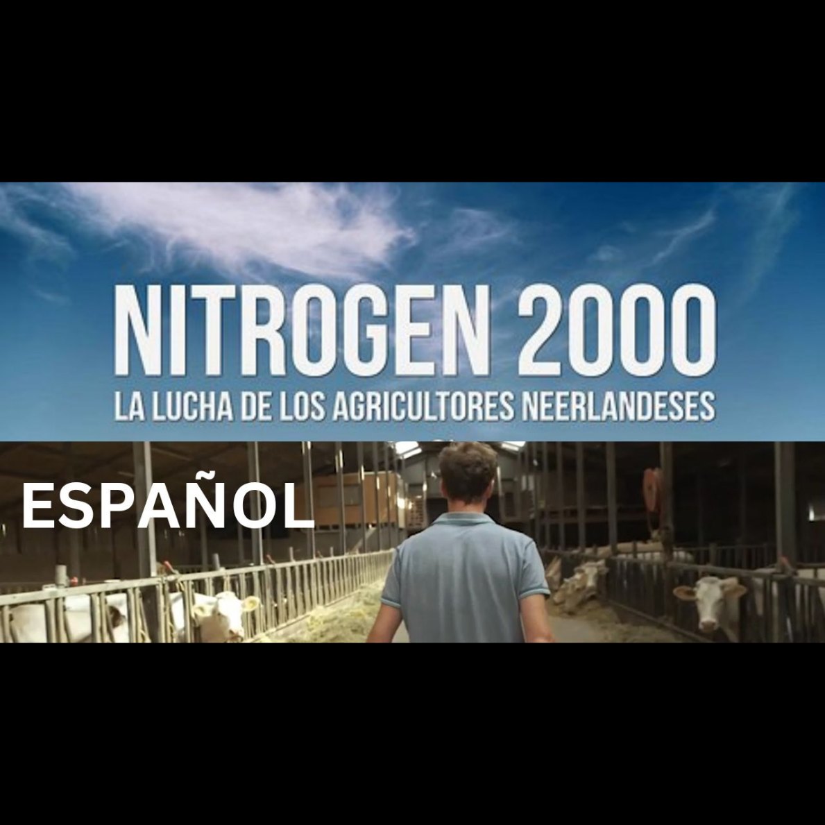 Nitrogen 2000 | OVALmedia